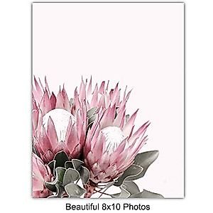 Flower Wall Art for Women - Shabby Chic Floral Home Decor, Decoration - Girls Bedroom, Living Room, Bathroom, Dining Room, Office - Pink Roses, Peonies, Succulents, Tropical Cactus - UNFRAMED 8x10 Set