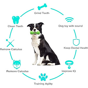 wanijaning Dog Toy, Toothbrush Dogs Chew Squeaky Toys, Durable Bones for Aggressive Chewers, Dental Oral Care for Small, Medium and Large Dogs - Green