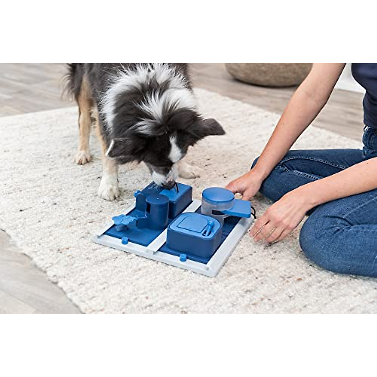 TRIXIE Poker Box 2 Strategy Game, Advanced Dog Puzzle Toy, Level 3 Activity, Treat Puzzle, Interactive Play, Enrichment