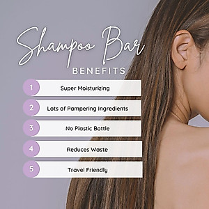 Eclectic Lady Orange Clove Shampoo Soap Bar with Pure Argan Oil, Silk Protein, Honey Protein and Extracts of Calendula Flower, Aloe, Carrageenan, Sunflower - 4 oz Bar