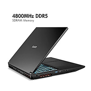 Sager 2023 NP7881E Gaming Laptop, 17.3 Inch FHD 144Hz 72% NTSC, Intel i9-13900HX, RTX 4070 8GB, 64GB RAM, 2TB Gen4 NVMe SSD, TBT 4, Win 11