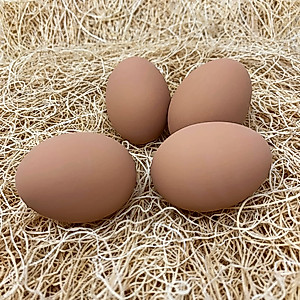 Pecking order Ceramic Nest Eggs - Brown (4-Pack) (9647)