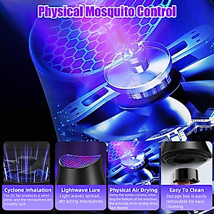 Indoor Insect Trap,Fruit Fly Trap Indoor for Home,Gnat Traps for House, Mosquito Traps,Zapper Fly Traps Catcher for Mosquito Hanging on The Wall,Bugs Trap with UV Light for Indoor,Home