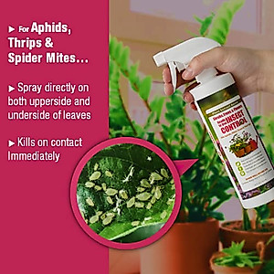 EcoVenger (Formerly EcoRaider) Garden Insect Control 16OZ, Plant Extract Based, Indoor & Outdoor, Kills Aphids, Mealybugs, Spider Mites and Gnats All Stages and Eggs, Non-Toxic Child & Pets Safe