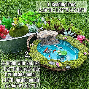 Mood Lab Fairy Garden - Miniature Fish Pond & Frog Figurine Kit - 2 pcs Set of Garden Accessories - Outdoor or House Decor
