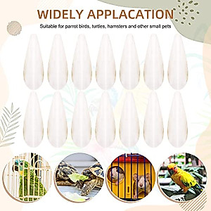 LEIFIDE 30 Packs Cuttlebone, Cuddle Bones for Birds 3.1-3.9 Inches Large Cuttlefish Bone Chew Toy Bird Bites Calcium Stone for Pets Reptile Tortoise Turtles Parakeet Cockatiels Reptiles and Snails