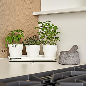 KIBAGA Beautiful Herb Garden Planter Indoor Set of 3 - Perfect for Any Kitchen Window Sill or Countertop - A Modern Decor Gardening Planter Kit Incl. Tray & Drainage Holes to Grow Fresh Herbs at Home