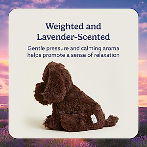 warmies Microwavable & Weighted Stuffed Animals, Chocolate Lab - Heated Stuffed Animal Plushie for Warmth & Comfort - Cute Soft Plush Toys for Adults & Children (Boys, Girls, Babies & Toddlers)