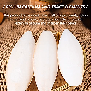 BNOSDM 8 Pack Cuttlefish Bones Natural Polished Cuttlebone for Cockatiels Birds Reptiles Turtles and Snails Cuttlefish Bone Chew Toy Bird Bites Calcium Stone 3.14-3.93 Inches