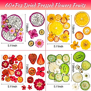 60+ Pieces Dried Pressed Flowers Fruits Set, Real Flowers Fruits for Resin, Natural Fruits Flowers Kit for Crapbooking DIY Art Crafts, Epoxy Resin Jewelry Molds, Candle, Soap Making, Nails DéCor