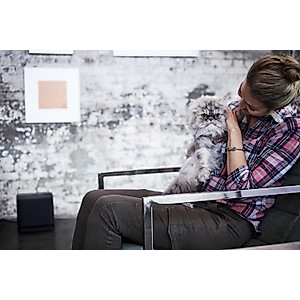 Bose Bass Module 500 (Renewed)