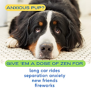 Native Pet Calm – Dog Calming Chews – Dog Melatonin for Small, Medium, Large Dogs - Melatonin for Dogs Sleep Aid – Natural Dog Calming Chews – Anxiety Relief & Calming Dog Treats - 60 Calm Dog Chews