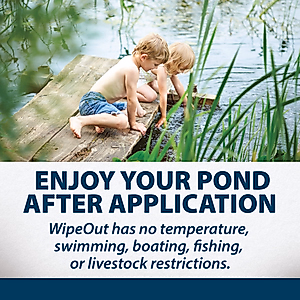 Airmax Wipeout Pond Weed Defense, Herbicide & Aquatic Weed Control, Controls Duckweed & Other Unwanted Submerged & Floating Vegetation, Easy-to-Use & Long Lasting, All-Season Treatment - 8 Ounce