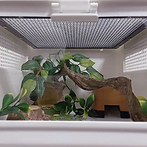 Reptile Decor Natural Forest Branch Terrarium Habitat Driftwood Decoration Lizard Climbing Tree Branch for Bearded Dragon Gecko Snake Frog Chameleon Spider 4PCS