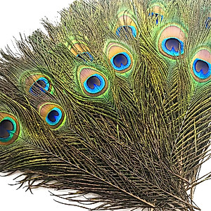 Piokio 50 pcs Natural Peacock Feathers in Bulk 10-12 inch(25-30 cm) Bulk for DIY Craft, Wedding, Mardi Gras Decoration