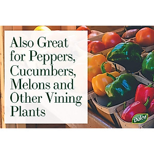 Dalen Gardeneer Season Starter – Early Season Insulated Plant Protector – Cold Weather Frost Guard - Easy Fill Shape for Optimal Planting - 18" x 17" – Made in The USA