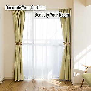 Vineland Retro Brown Dragonfly Magnetic Curtain Tie Back, 2 Pack Decorative Resin Animal Boho Holder for Curtains Drape, Rustic Home Decoration