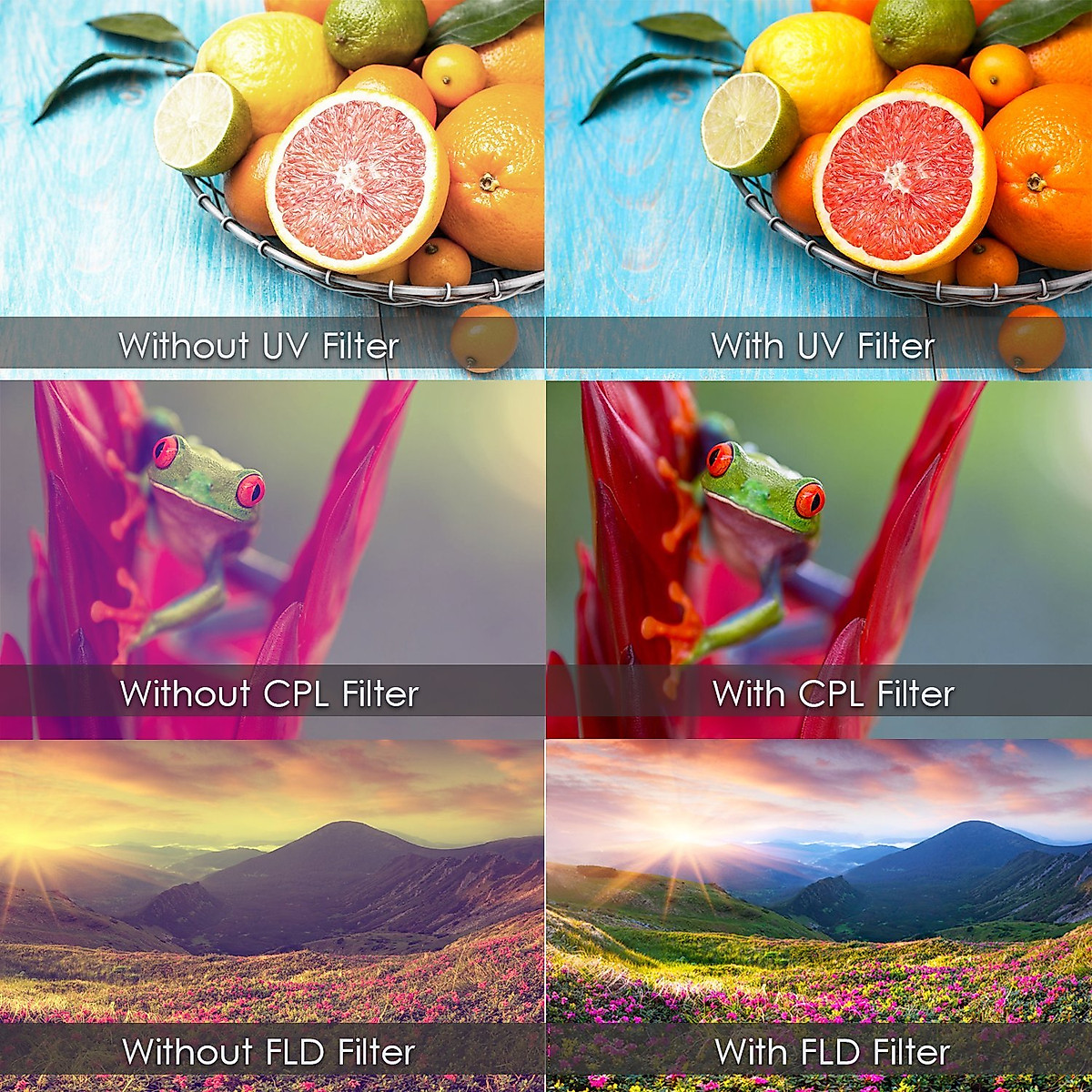 Canon EOS Rebel Accessory Kit - 58mm Lens Filter Set for T7i, T6i, T6S, T5i, T5, T4i, T3i, T3, T2i, EOS 80D, 70D, 77D, 60D, 5D, 5D Mark III, 1200D, 1100D, 100D, SL1, M3, M2, M, Xsi, XTi, XT