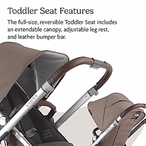 UPPAbaby Vista V2 Stroller/Convertible Single-to-Double System/Bassinet, Toddler Seat, Bug Shield, Rain Shield, and Storage Bag Included/Theo (Dark Taupe/Silver Frame/Chestnut Leather)