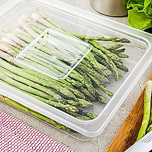 Restaurantware LID ONLY: Met Lux Lid For 1/2 Size Food Pans 1 Freezer-Safe Lid For Commercial Food Storage Container - Containers Sold Separately For Kitchens Restaurants Or Cafeterias