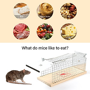 SJKHYTY Rat cage, Chipmunk, Rat, Mouse Rodent Trap, Suitable for Indoor and Outdoor Vole Hamsters, Live Traps and Ready Release