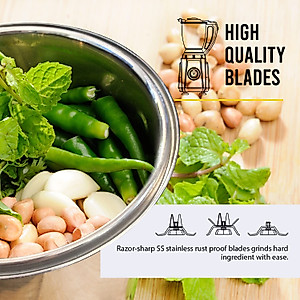 EconoHome Mixer Grinder - Electric Mixer Grinder for Asian Cooking, Food Prep - Includes Liquidizing Jar, Dry & Wet Grinder Jar, Chutney Jar, Lids & Spatula - 750W Motor, Stainless Steel 304 Blades