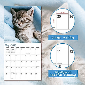 2025 Wall Calendar,Calendar 2025, January 2025 - December 2025, Wall Calendar Baby Kitten, 12" x 24" Opened,Full Page Months Thick & Sturdy Paper for Calendar Organizing & Planning