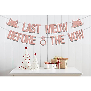 Last Meow Before the Vow Banner, Cat Themed Bachelorette Party Decorations, Bridal Shower Engagement Party Decorations, Hen Wedding Party Supplies Rose Gold