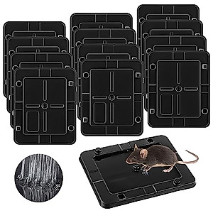 Qualirey 12 Pack Mouse and Insect Glue Traps, Strong Sticky Pre Baited Trays with Non Toxic Glue for Mice, Small Rats, Flies, Cockroaches and Other Bugs, Ready to Use Indoor, Safe to Children