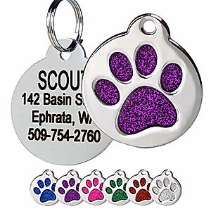 GoTags Paw Print Round Stainless Steel Pet Tag for Dogs and Cats, Personalized with 4 Lines of Custom Engraved ID, in Solid Stainless Steel and 5 Enameled Colors: Blue, Green, Pink, Purple and Red