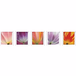 USPS 2023 Tulip Blossom Forever First Class Postage Stamps (20 Count Booklet)