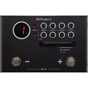 Roland TM-1 Dual Input Trigger Module with WAV Manager Application (TM-1)