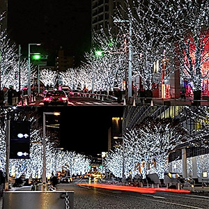 woohaha Solar Fairy String Lights Outdoor Waterproof, 72ft 200LED Updated Version Solar Powered String Lights for Christmas Patio Garden Party(Cool White)