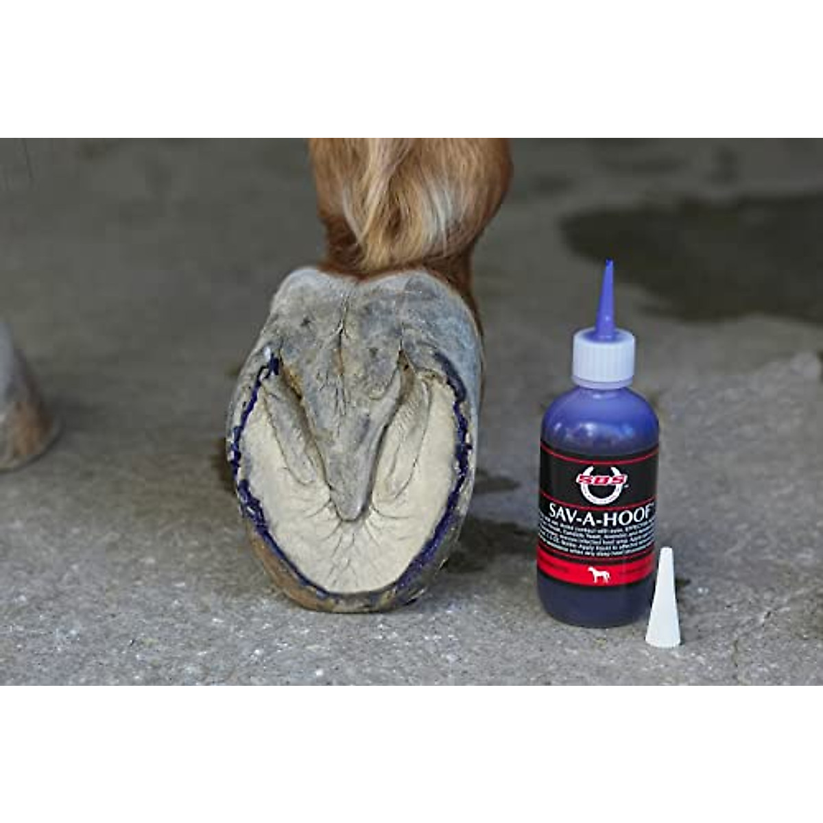 SAV-A-HOOF Gel II by SBS Equine, Hoof Treatment, Long - Lasting Time Release Formula, No Messy Waste or Run-Off (4 oz)