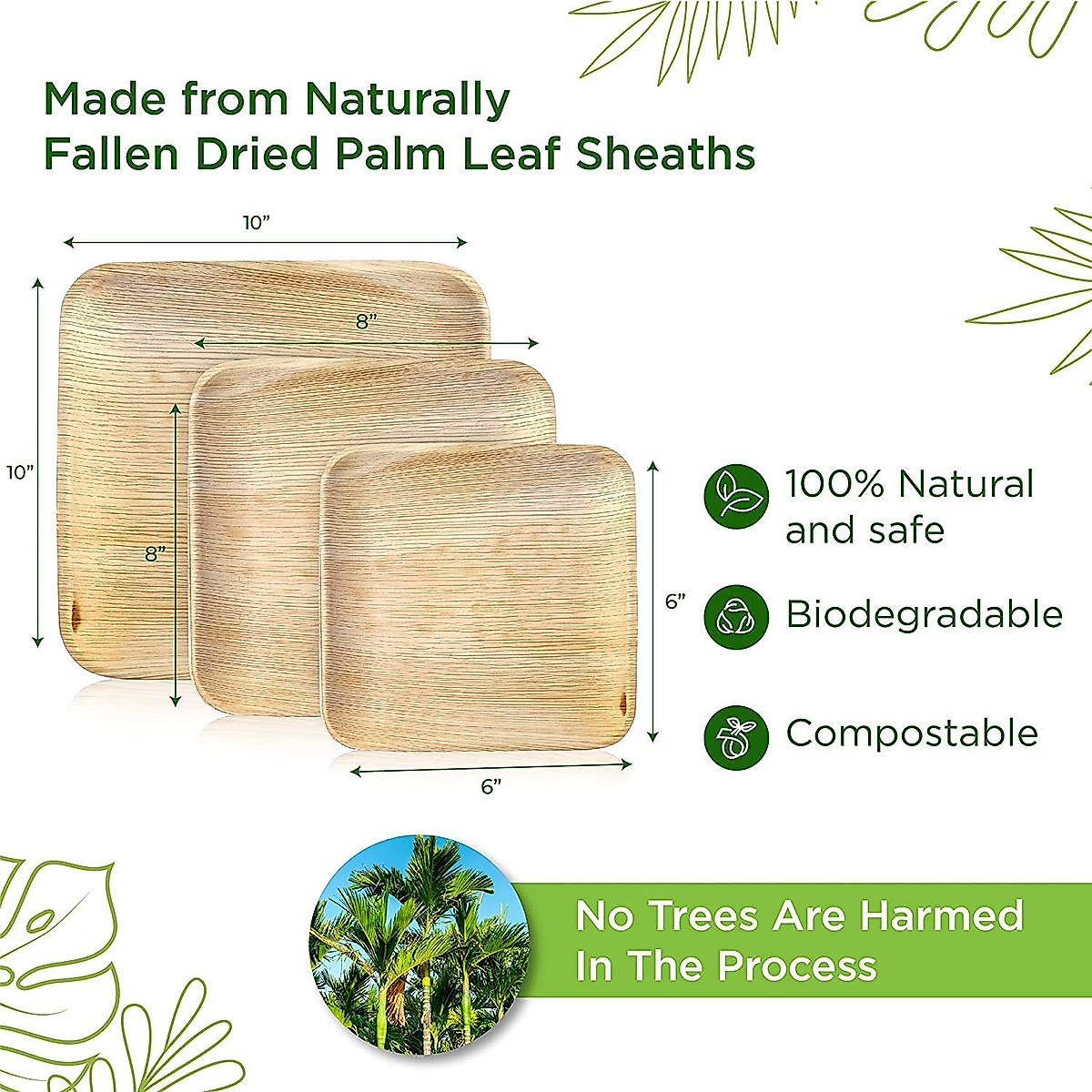 TRULY ECO 8 Inch 40 Square Palm Leaf Plates – Compostable, Biodegradable, Eco-Friendly – Like Bamboo Disposable Plates for Party, Wedding, Picnic – Sturdy, Heat Proof & Leak Proof