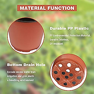 KINGLAKE 50 Pcs 6" Plastic Plants Nursery Seedlings Pot/Pots Flower Plant Container Seed Starting Pots for Plant