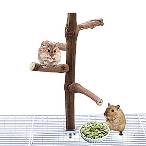 Filhome Bird Perch Stand Toy, Natural Wood Parrot Perch Bird Cage Branch Perch Accessories for Parakeets Cockatiels Conures Macaws Finches Love Birds(9.8" Length)