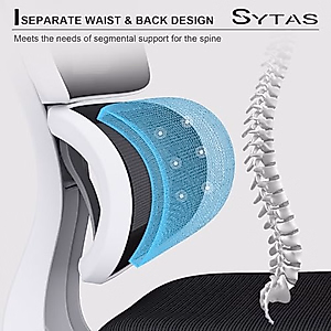 Sytas Ergonomic Home Office Chair, Desk Chair with Lumbar Support, Ergonomic Computer Chair High Back