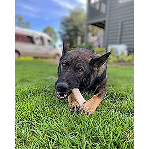 Nylabone Power Chew Textured Femur Bone Chew Toy for Dog, Indestructible Dog Toys for Aggressive Chewers Large Breed, Beef Flavor, X-Large/Souper (1 Count)