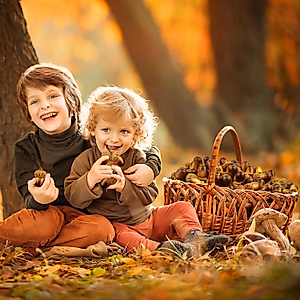 120 Pcs Artificial Acorns, Lifelike Fake Acorn with Natural Cap Simulation Nut for Home, Kitchen, Bowl, DIY Crafts, Photography Props