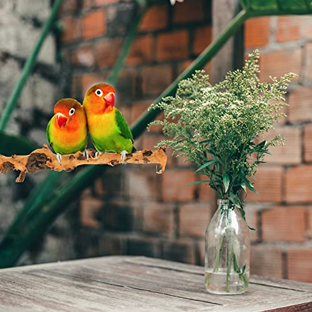 PATKAW Natural Wood Parrot Perch 2pcs Bird Wood Stand Branches Bird Cage Hanging Perch Bird Wooden Chew Toy for Pet Bird Cage Hammock Climbing Toy