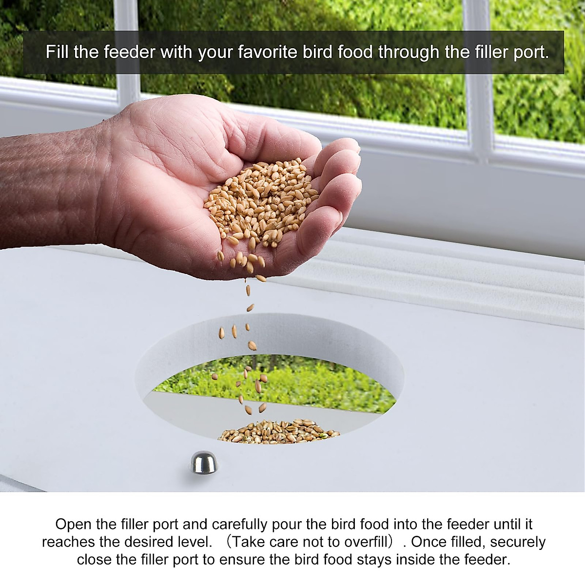 POOKULA Window Bird Feeder, 180° Clear View Bird Feeder, Durable and Elegant in-Window Bird Feeder for Watching Birds - Embrace The Delight of Bird Feeder.