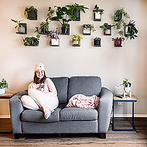 Daniel's Plants Midcentury Modern Gallery Wall Plant Shelf | Pack of 3 Wooden Shelves | L Shaped Floating Shelf Kit | Floating Shelves | Wood Floating Shelf