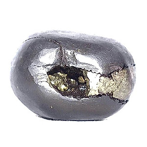 Rudrakshguru Laxmi Narsimha Shaligram