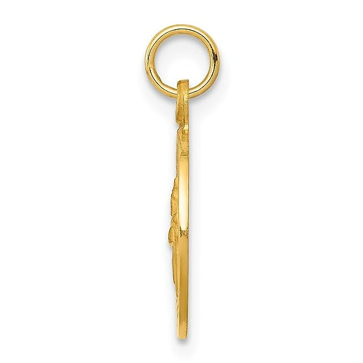 IceCarats 14K Yellow Gold Saint Patrick Medal Necklace Charm Pendant 19mm x 12mm Only