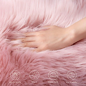 Ashler Faux Fur Rug, Fluffy Shaggy Area Rug 2 x 3 Feet Sheepskin Fur Rug, Pink Fuzzy Rug Machine Washable Shag Rug, Nursery Decor Throw Rugs for Bedroom, Kids Room, Living Room