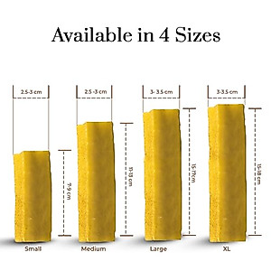 Dogsee Turmeric/Curcumin/Curcuma Flavor Himalayan Yak Cheese Dental Chews for Dogs (Medium - 2 Chews) | Anti-inflammatory | Made in Himalayan Regions | Premium Yak Cheese Dental Chews