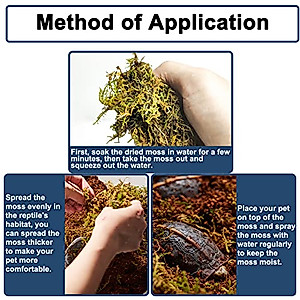 Hamiledyi Natural Sphagnum Moss Bedding Reptile Moss for Frogs Toads Salamanders Turtles Anoles or Green Snakes and Other Reptiles and Amphibians (10.58 OZ)