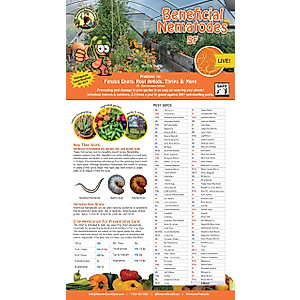 NaturesGoodGuys Beneficial Nematodes Steinernema feltiae SF - 5 Million