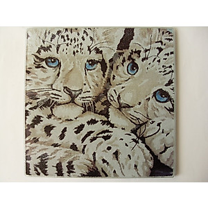 8"x8" Leopard Kitchen Counter Art Tempered Glass Cutting Board Surface Saver Bar Prep